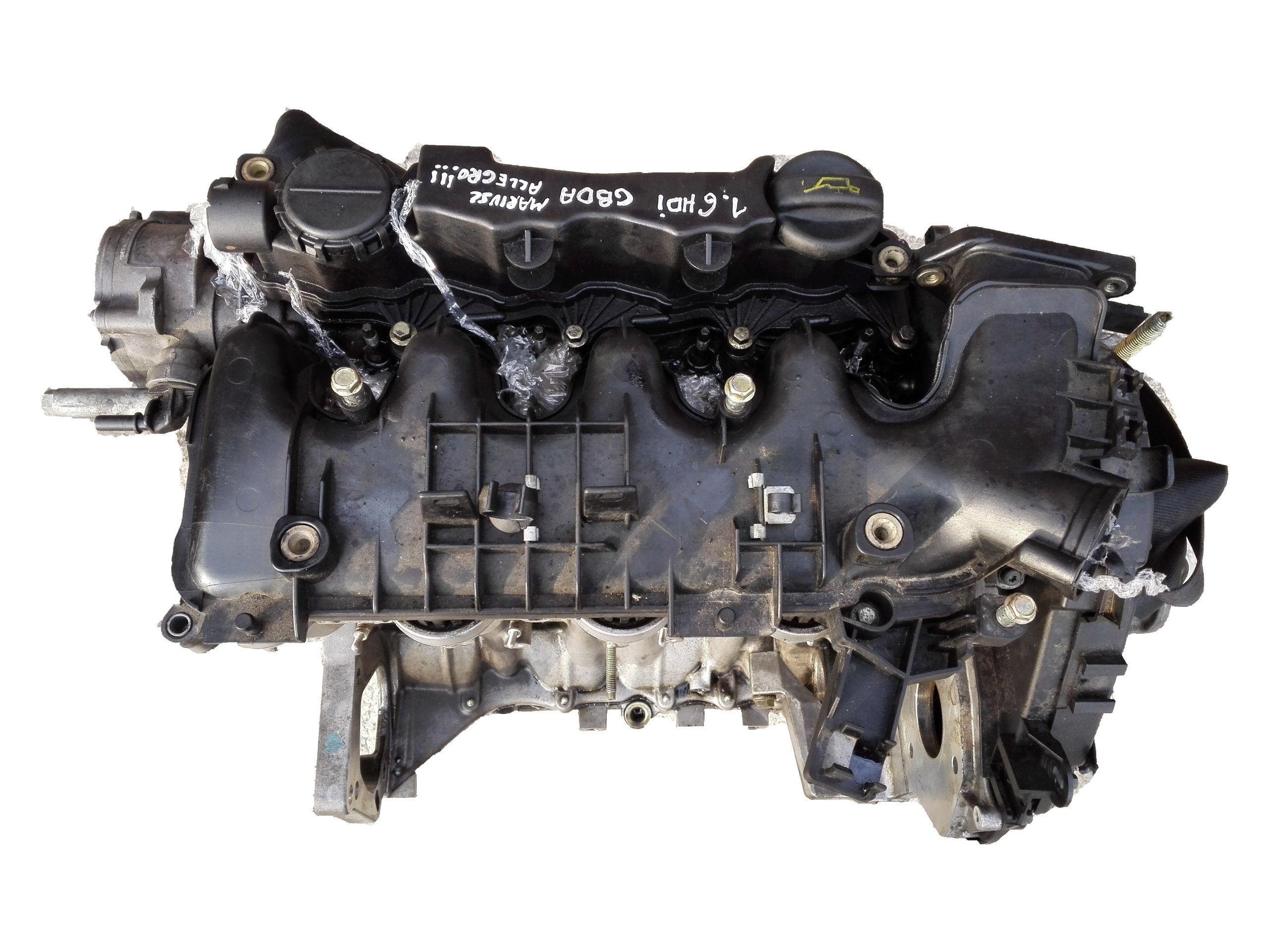 SILNIK FORD FOCUS II C-MAX 1.6TDCI 16V 109KM G8DA - 7551440606 - oficjalne archiwum allegro