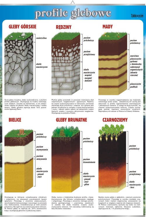 POMOCE NAUKOWE plansza PROFILE GLEBOWE GLEBY GLEBA - 7274851243 ...